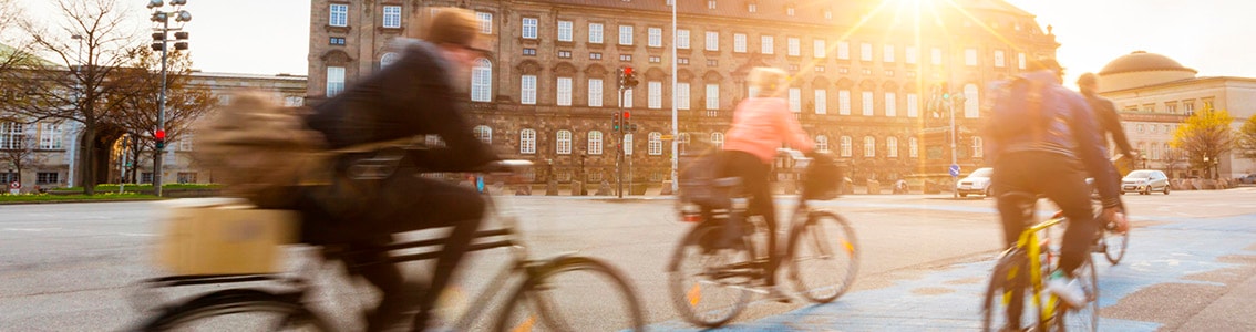 Sustainable Development Goal 11 - Sustainable cities and communities