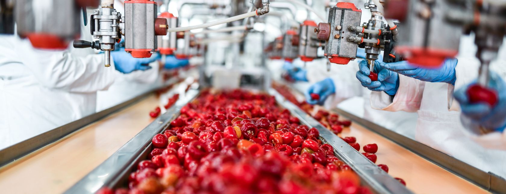 Hazard Analysis and Risk Assessment (HARA) training | DNV